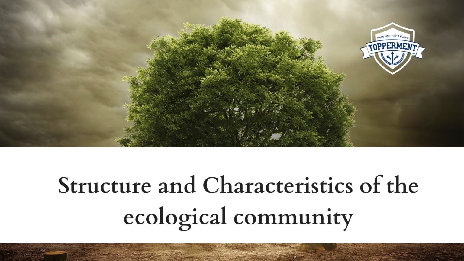 Structure and Characteristics of the ecological community | UPSC ...