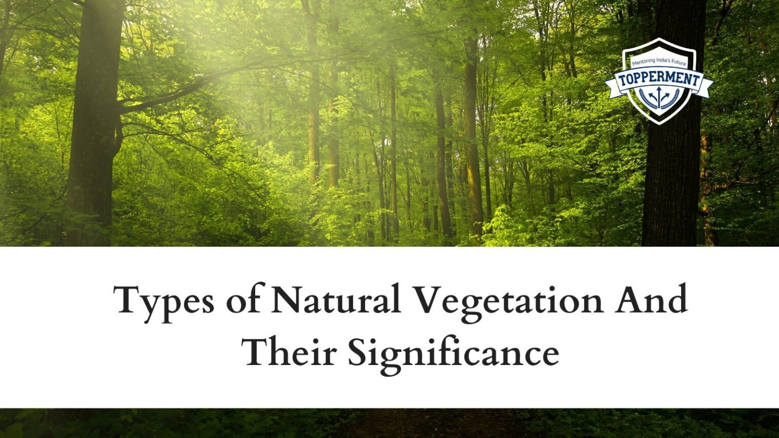 Types Of Natural Vegetation And Their Significance | UPSC Environment ...