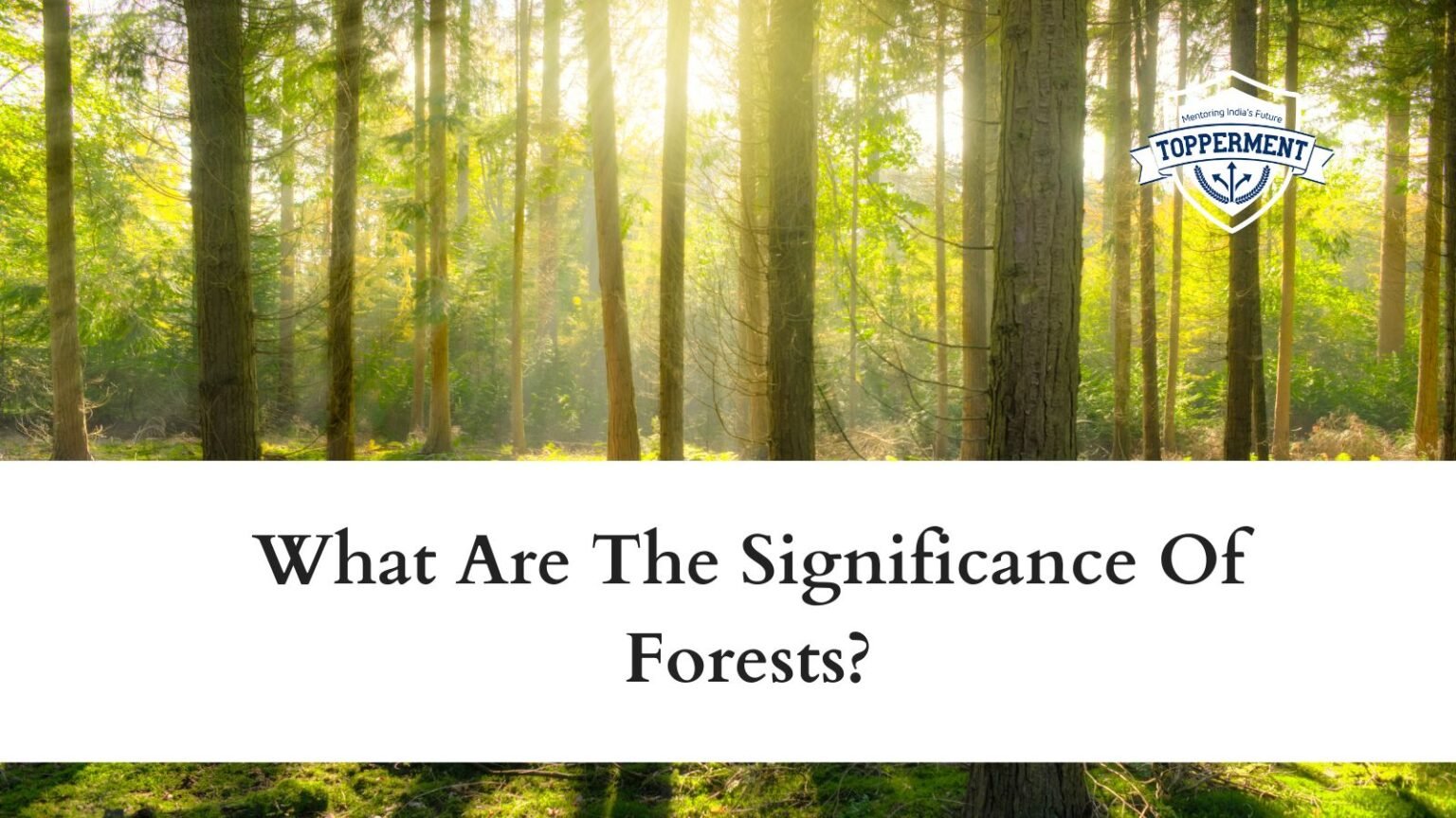 What Is The Significance Of Forests? | UPSC Environment - Best UPSC IAS ...