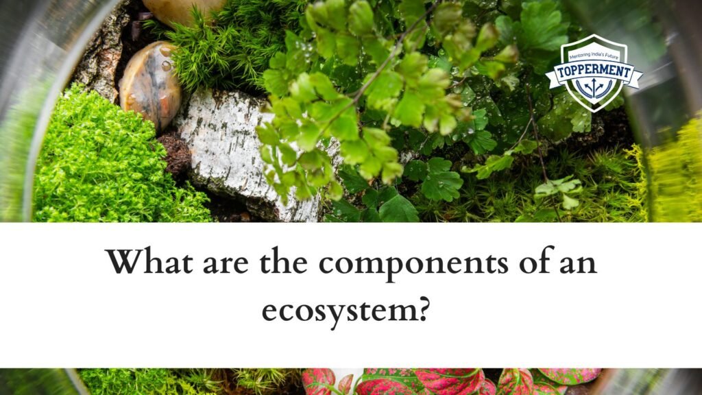 What are the components of an ecosystem? | UPSC Environment - Best UPSC ...