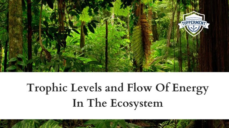 Trophic Levels and Flow Of Energy In The Ecosystem | UPSC Environment ...