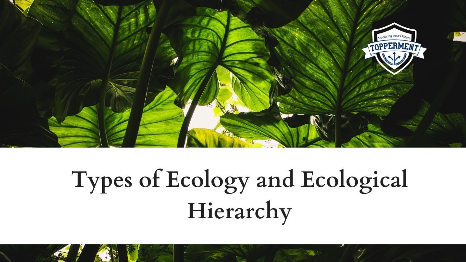 Types of Ecology and Ecological Hierarchy | UPSC Environment ...