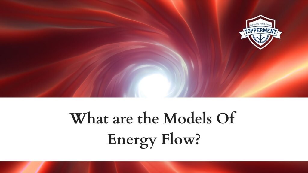 What are the Models Of Energy Flow? | UPSC Science And Technology ...