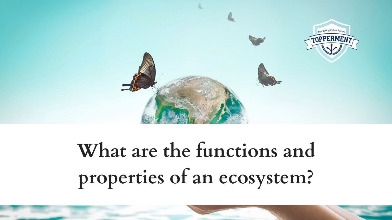What are the functions and properties of an ecosystem? | UPSC ...